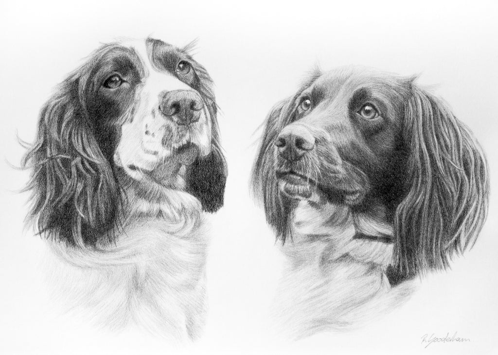 Sky and Rusty – Roxanne Gooderham - Fine Artist